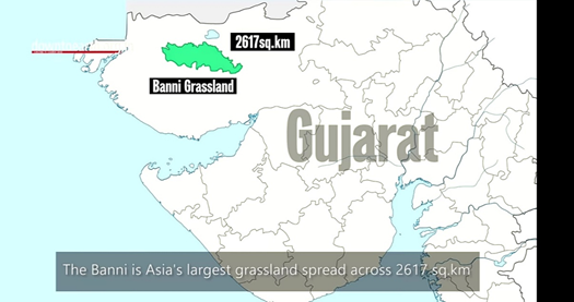 Gujarat to restore Banni grassland