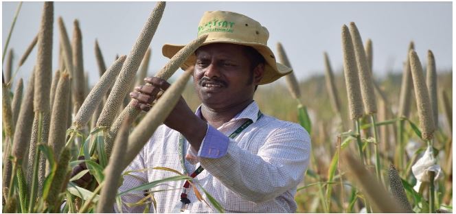 Indian scientist wins award for fortifying millet