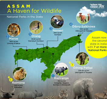 Herbs dominate flowering plants in new Assam national park
