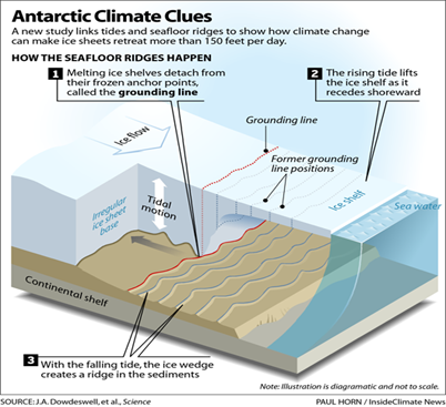 Difference between Arctic and Antarctica Regions and effects of Climate ...